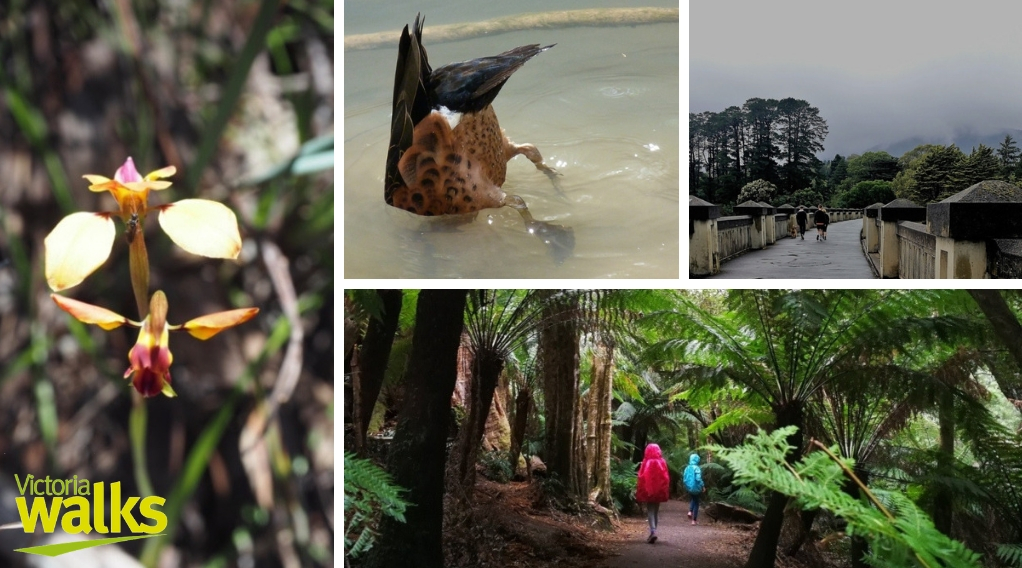 Parks Victoria walks